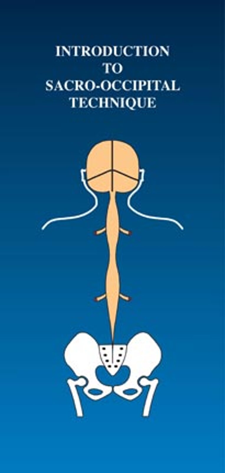 Introduction to SOT - Pack of 100 | SOTO Australia